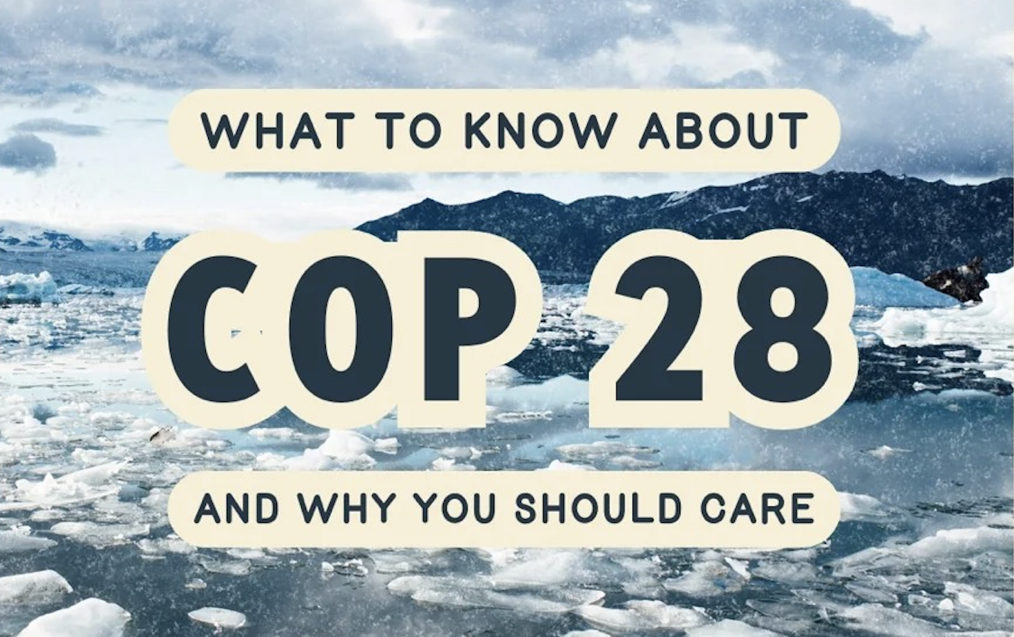 What to know about COP 28 – Jiminy's