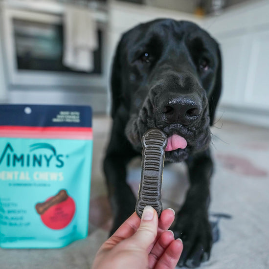 Cinnamon Dental Chews Large – Jiminy's