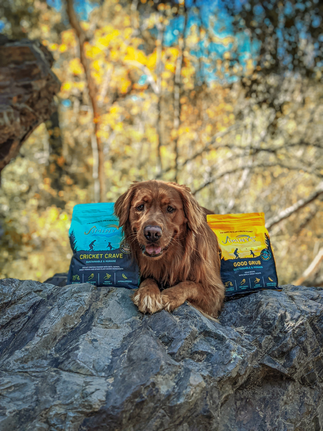 Soft and Chewy Training Treats 3 Pack Bundle – Jiminy's