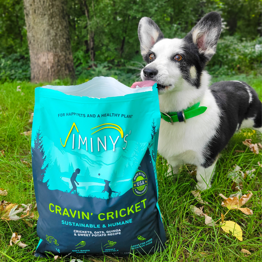 Dog Food – Jiminy's
