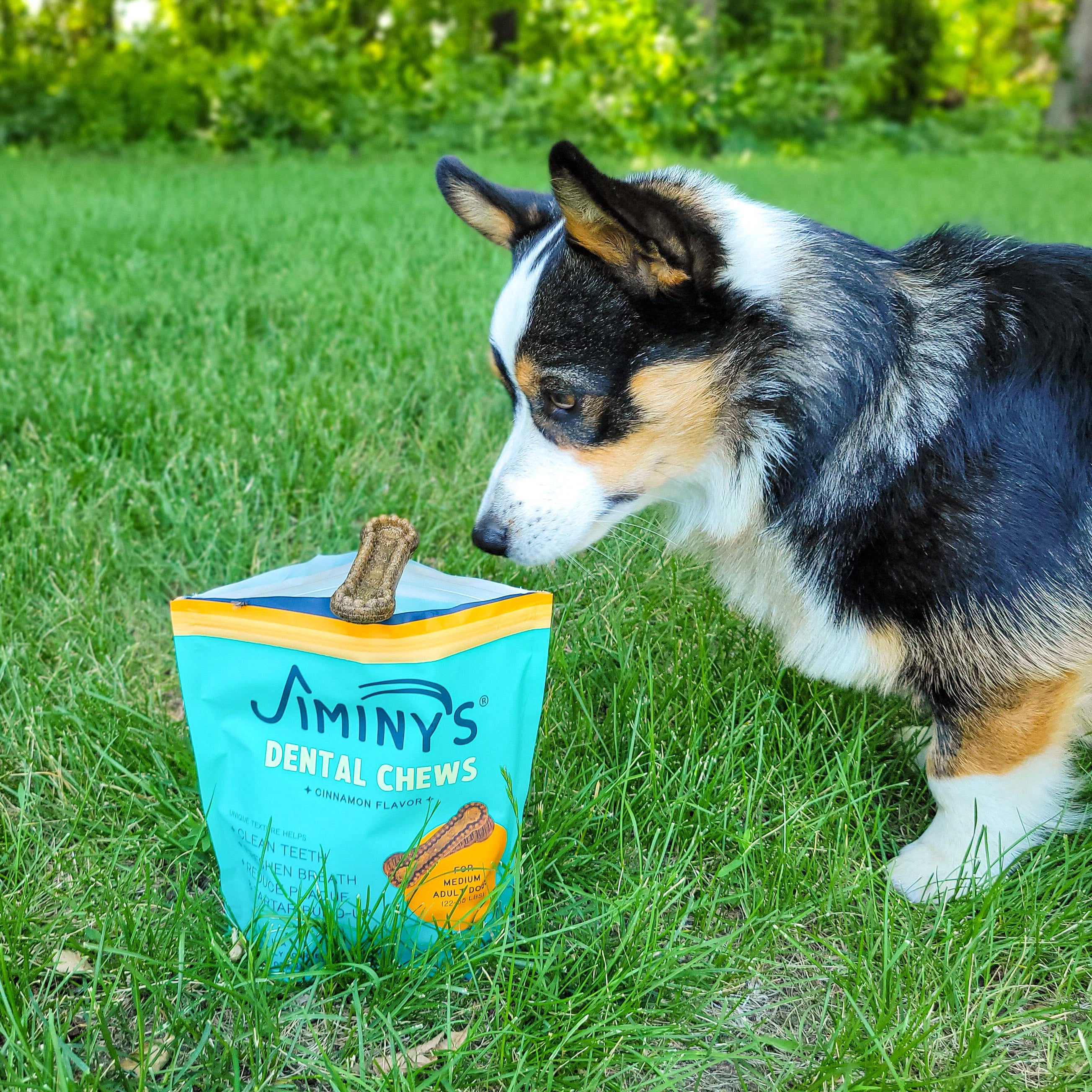 Dental Chews Small – Jiminy's